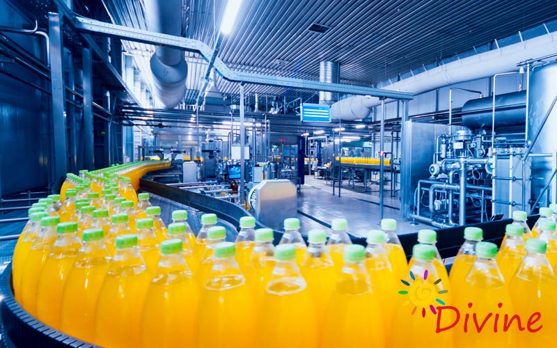 United Group Of Companies